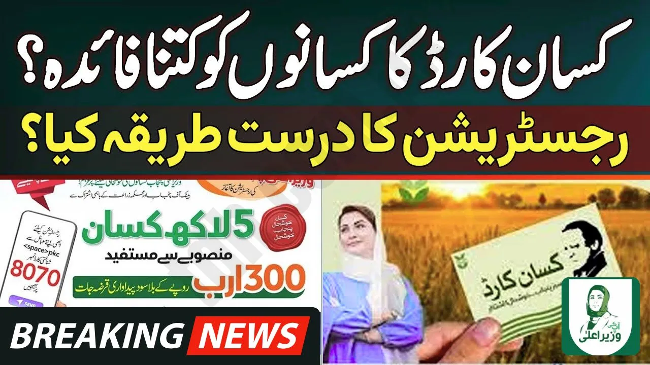 CM Punjab Kisan Card 2025 – Complete Guide to Registration, Status ...