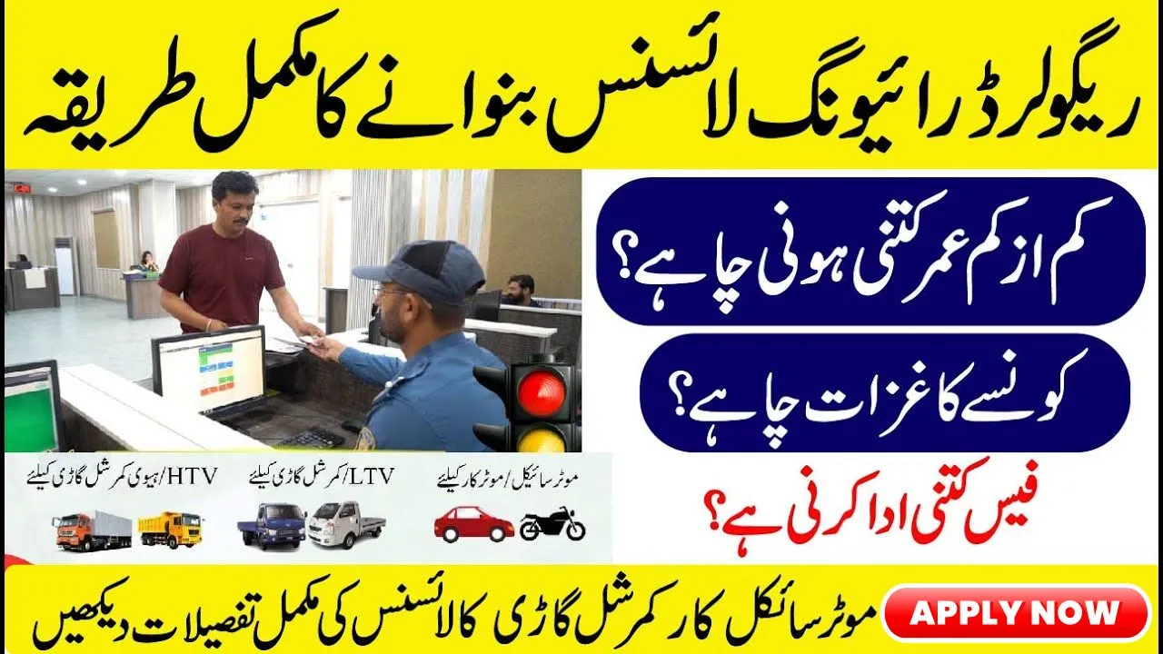 Driving License Online Apply Punjab 2025 – DLIMS 2.0, Renewal, Tracking ...